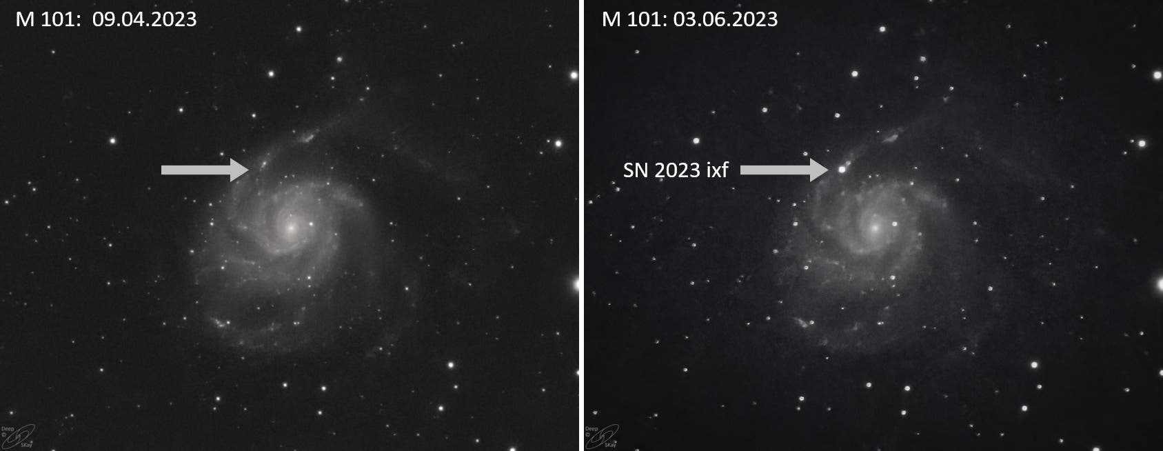 Supernova Sn 2023ixf Spektrum Der Wissenschaft